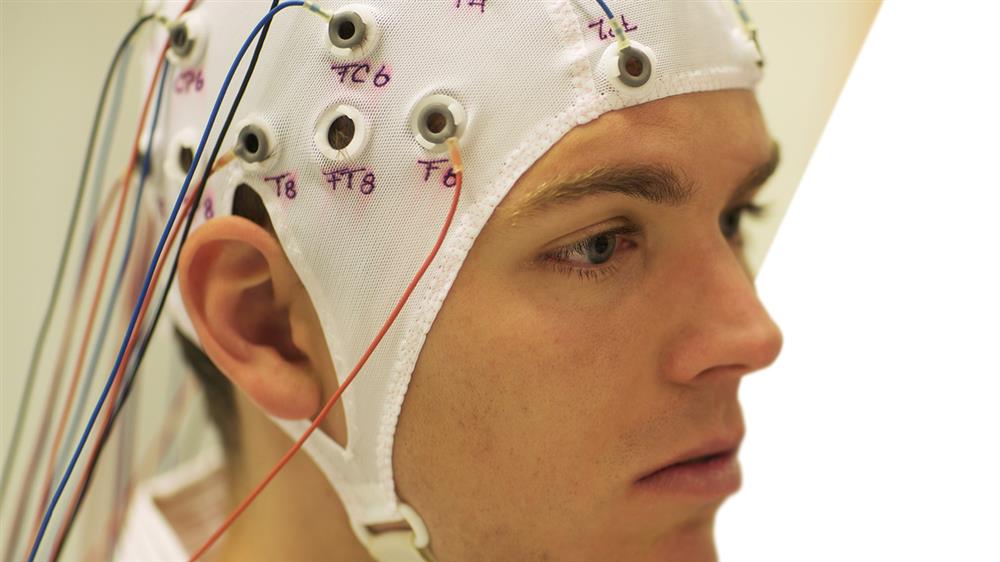 Curso Universitario en Electroencefalograma (EEG) en Síndromes Electroclínicos y del Paciente ...