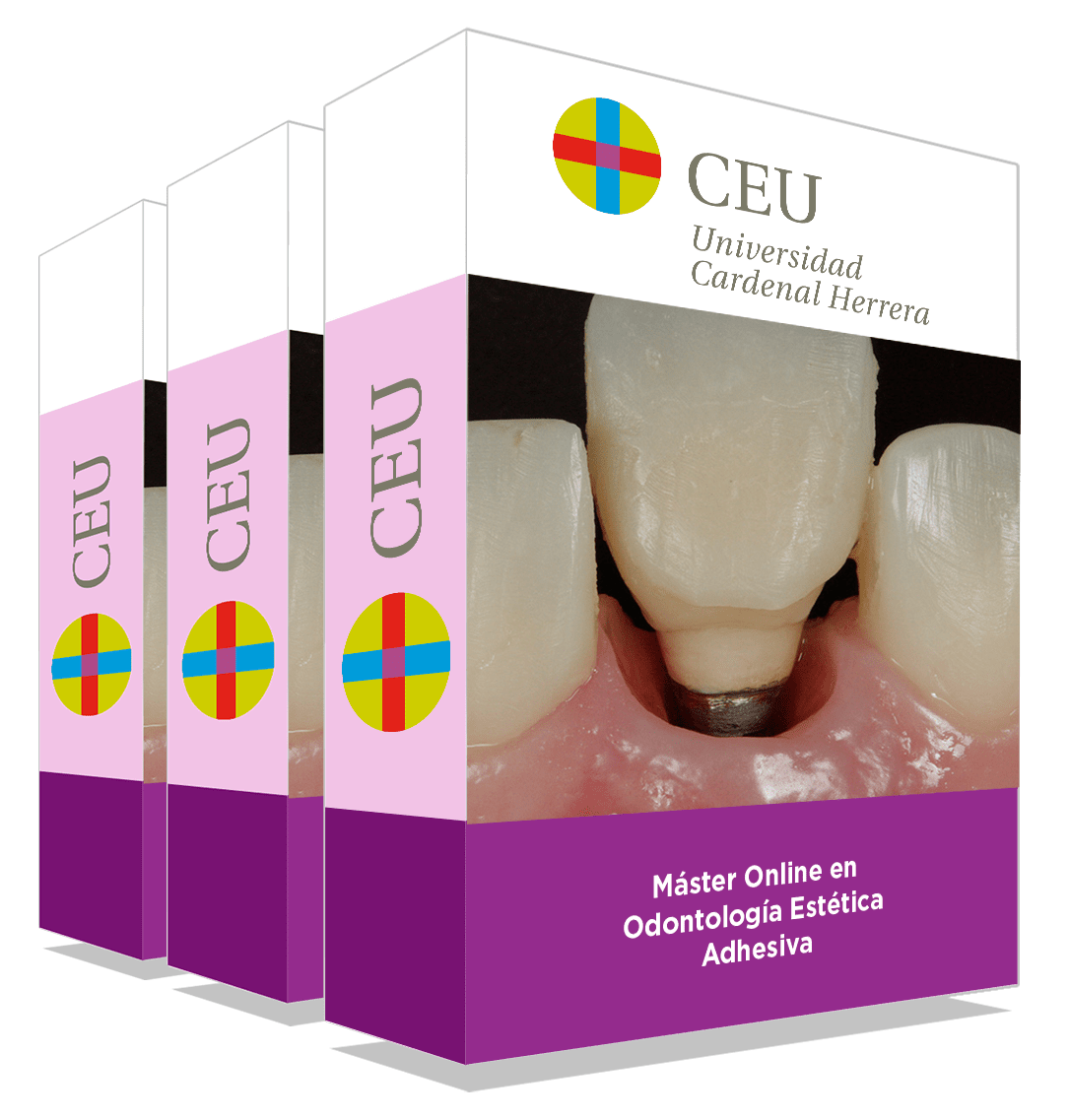 Maestría En Odontología Estética Adhesiva